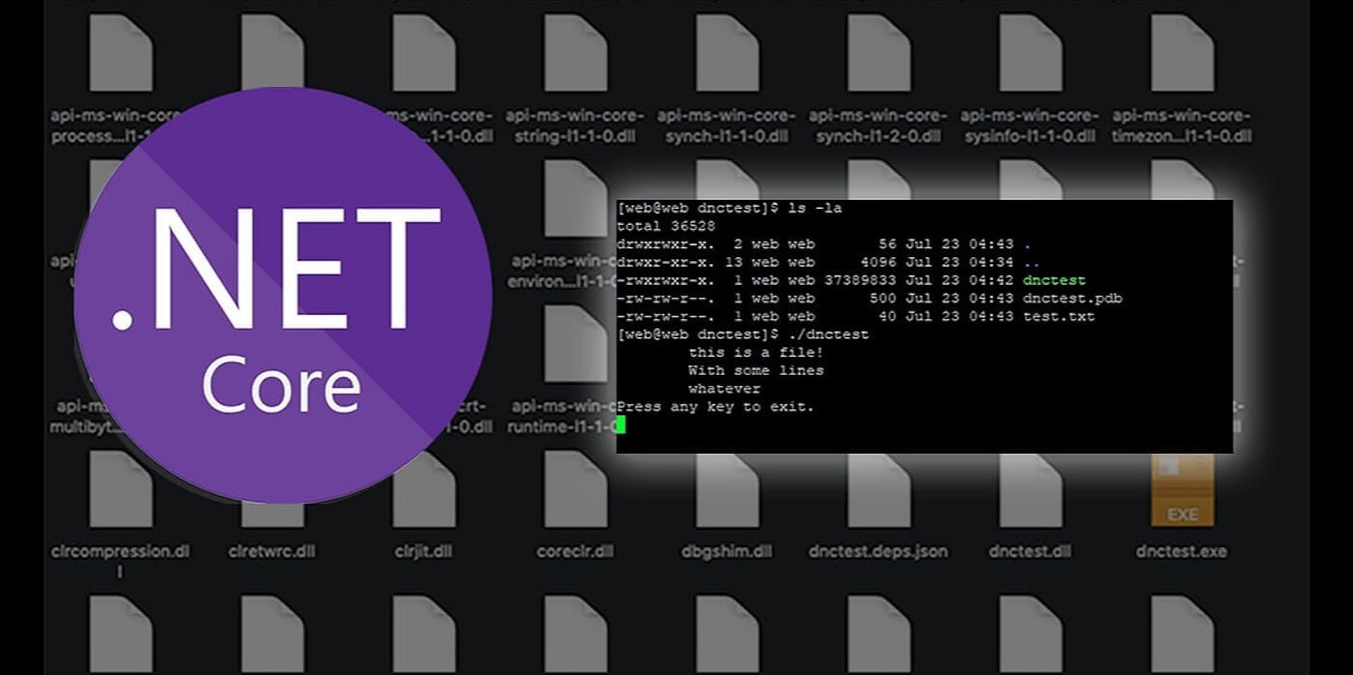 React Native + SignalR + .NET Core with dotNetify | HackerNoon