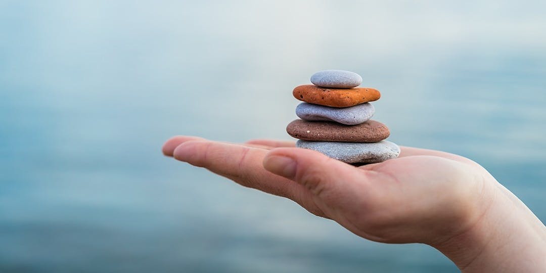 261 Stories To Learn About Software Development | HackerNoon