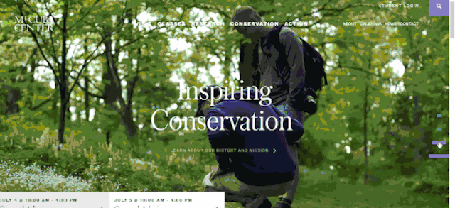 2018 Best Web Design: 19 Creative Web Examples and Templates for You ...