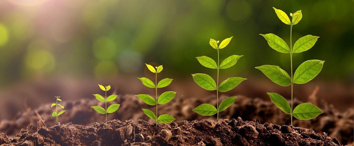 Becoming Awesome — Creating a Culture of Continuous Improvement ...