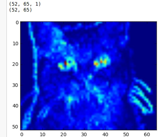 Visualizing parts of Convolutional Neural Networks using Keras and Cats ...
