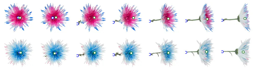 Key-point detection in flower images using deep learning | HackerNoon