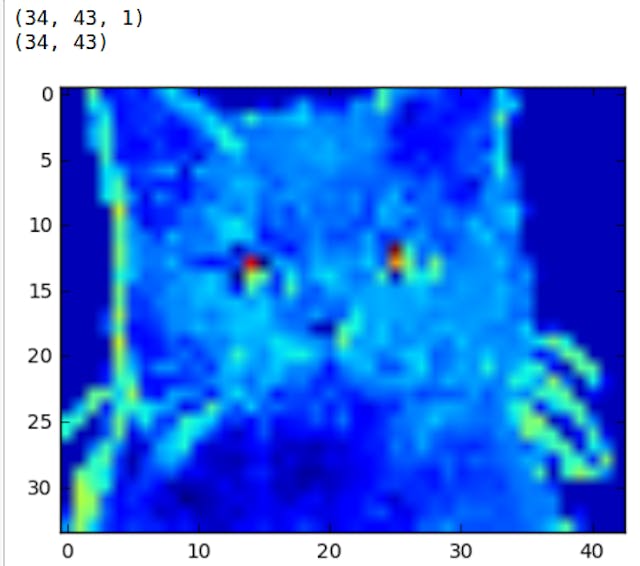 Visualizing parts of Convolutional Neural Networks using Keras and Cats ...