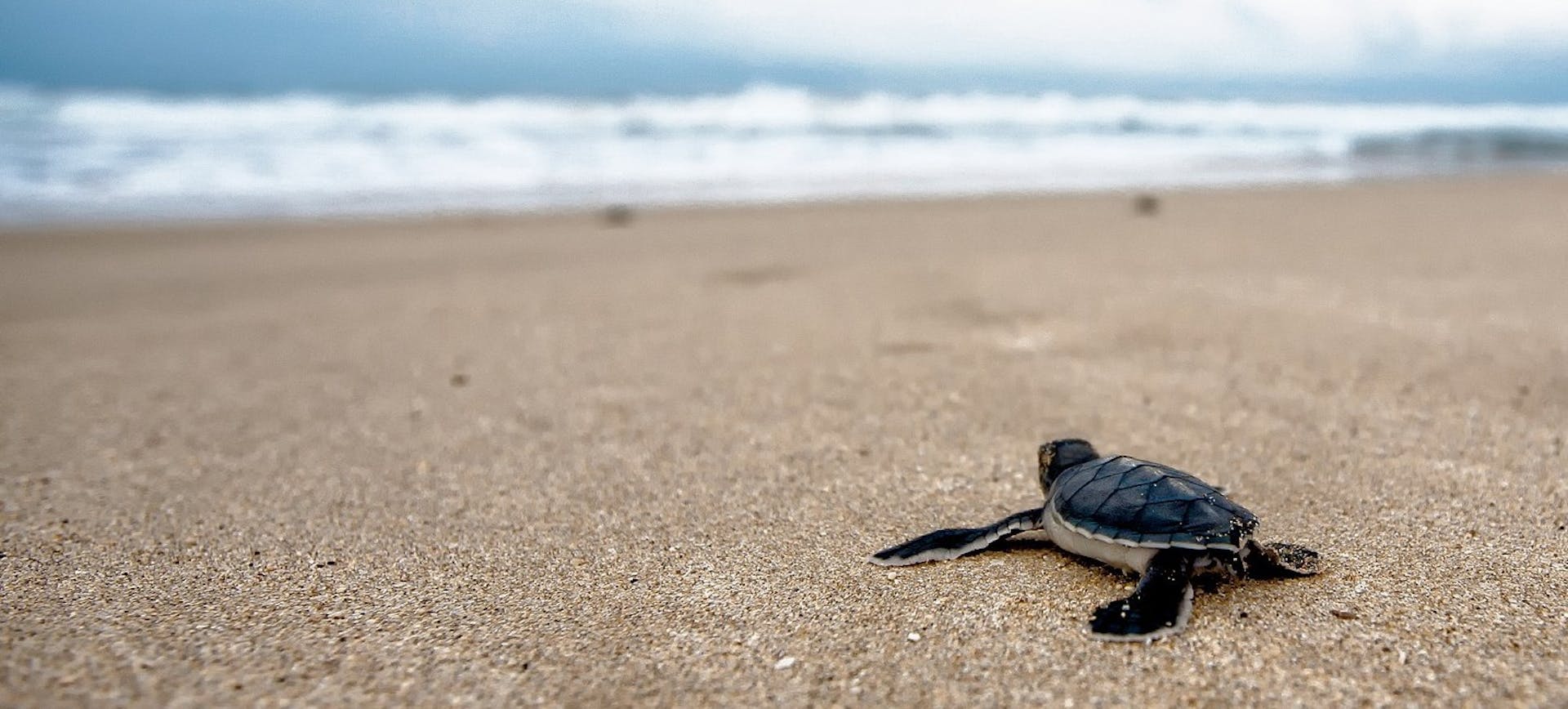 Migrating your Node.js REST API to Serverless | HackerNoon