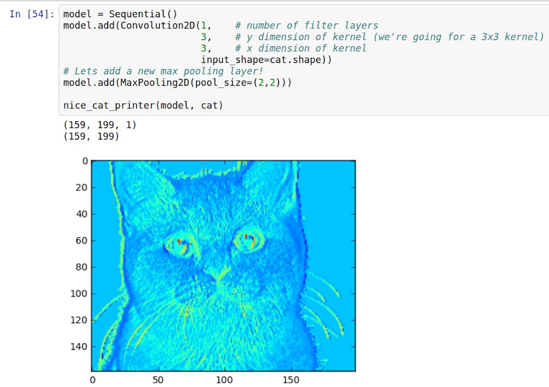 Visualizing parts of Convolutional Neural Networks using Keras and Cats ...