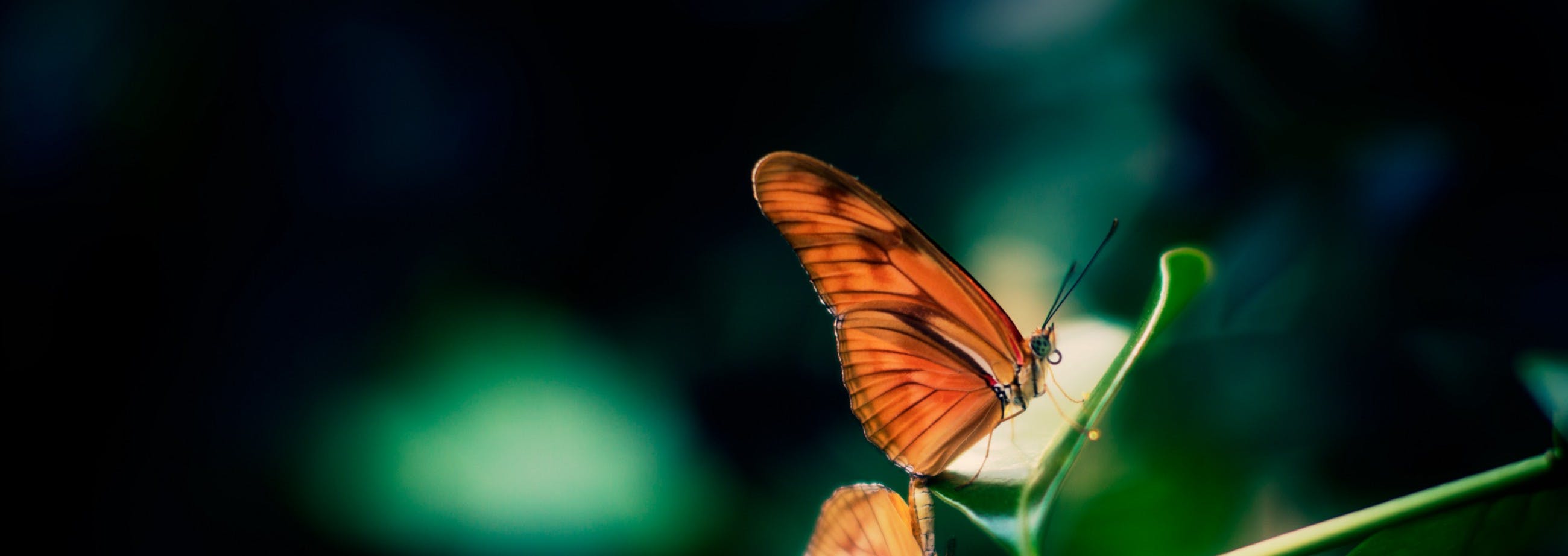 Avoiding Accidental Complexity When Structuring Your App State | HackerNoon