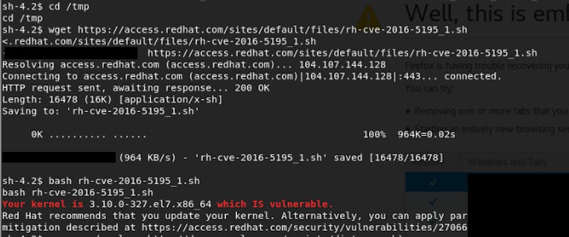 How I Hacked 40 Websites in 7 minutes | HackerNoon