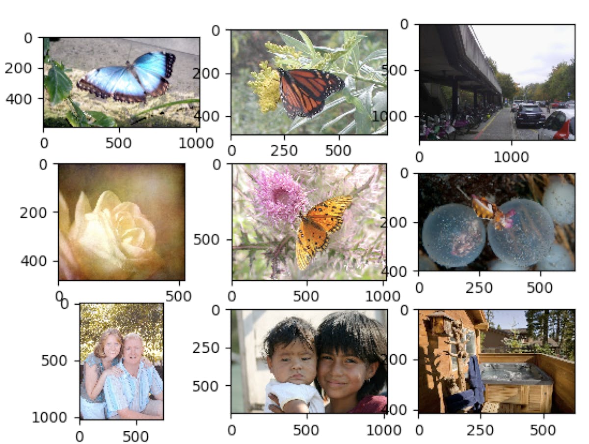 One Class Classification for Images with Deep features | HackerNoon