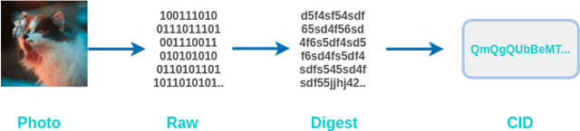 Understanding IPFS in Depth(1/6): A Beginner to Advanced Guide | HackerNoon