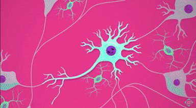 Neural networks from scratch for Javascript linguists (Part1 — The ...