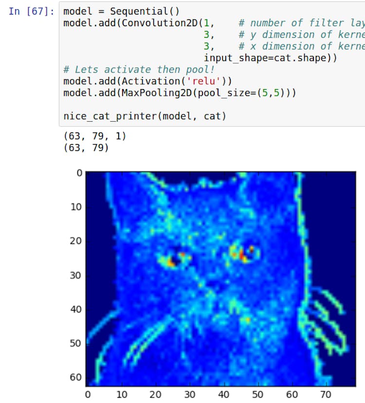 Visualizing parts of Convolutional Neural Networks using Keras and Cats ...