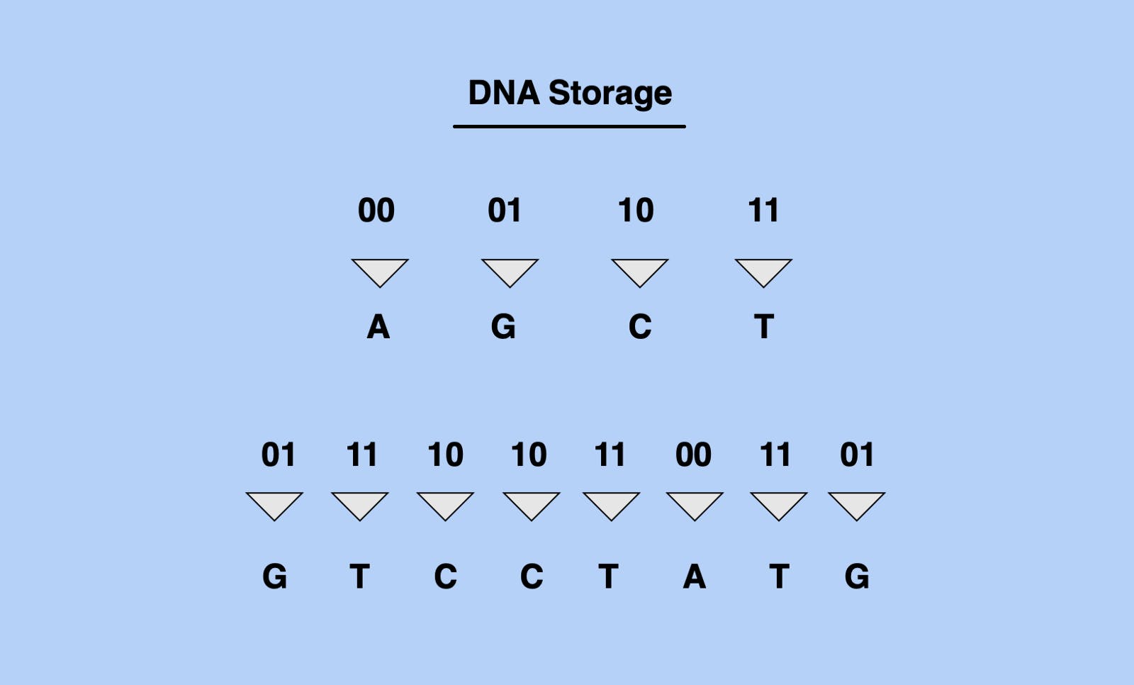 DNA Data Storage | HackerNoon