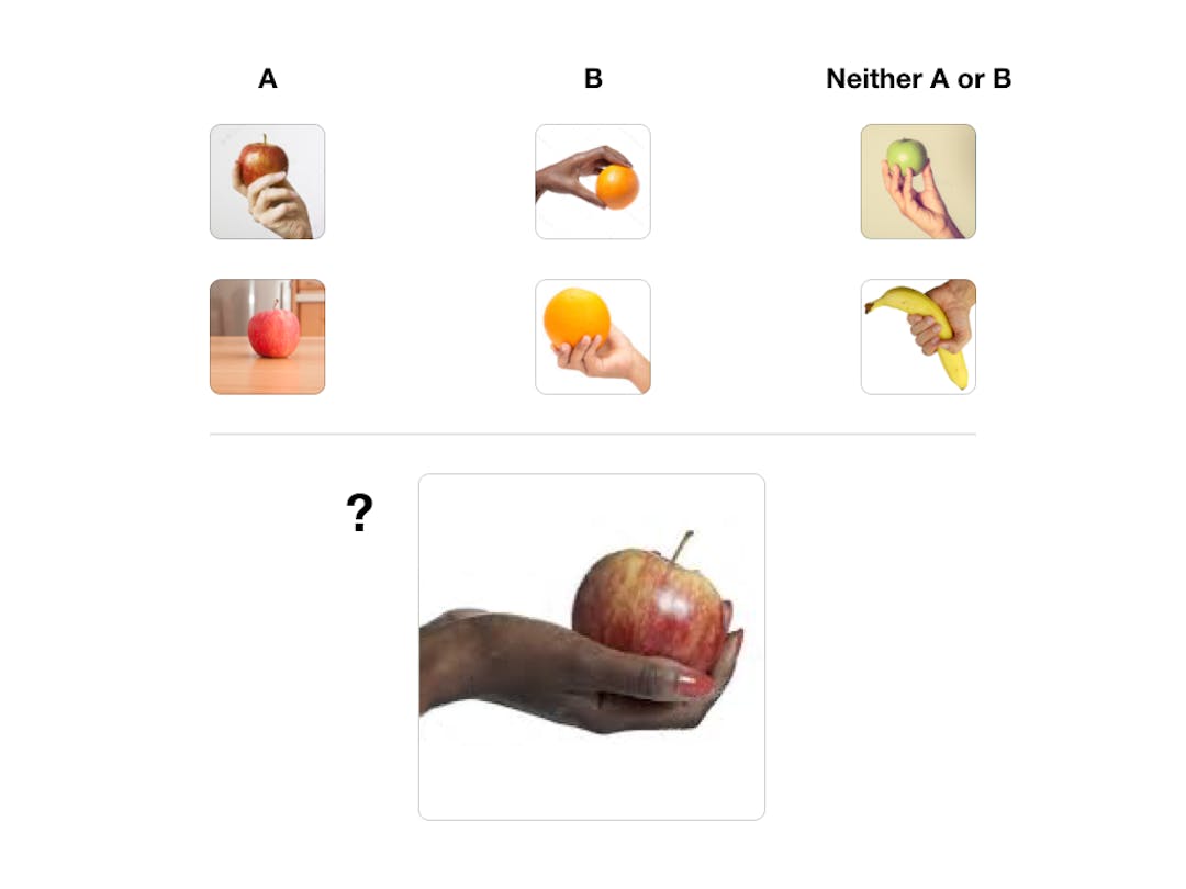 Understanding What Artificial Intelligence Actually Sees | HackerNoon
