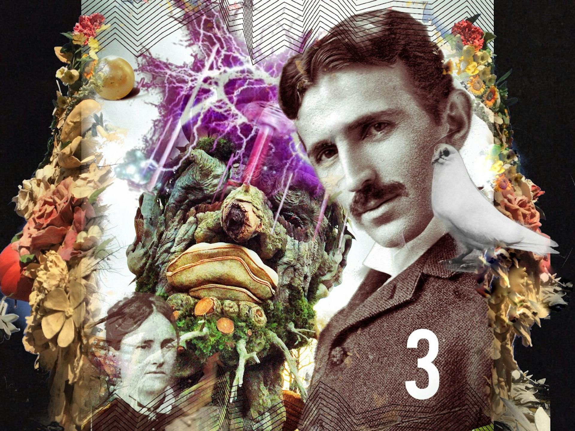 How To Create A Gif | HackerNoon