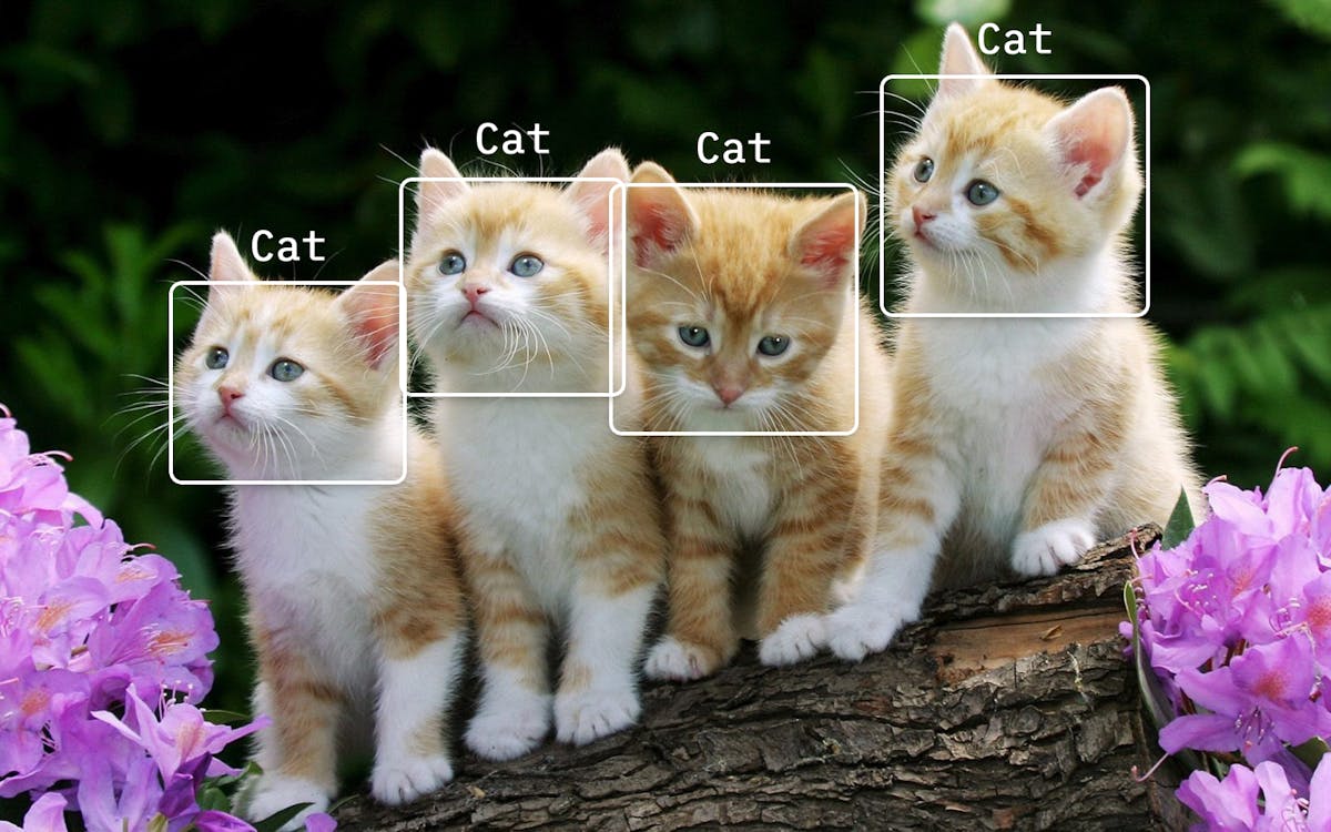 Tensorflow Js — Real Time Object Detection In 10 Lines Of Code Hackernoon
