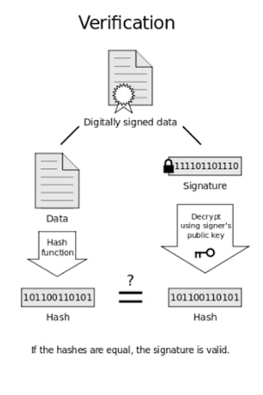 Blockchain For Students 101 -The Basics (Part 1) | HackerNoon