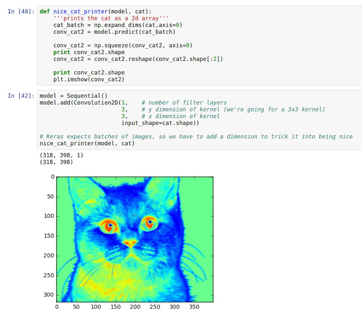 Visualizing parts of Convolutional Neural Networks using Keras and Cats ...