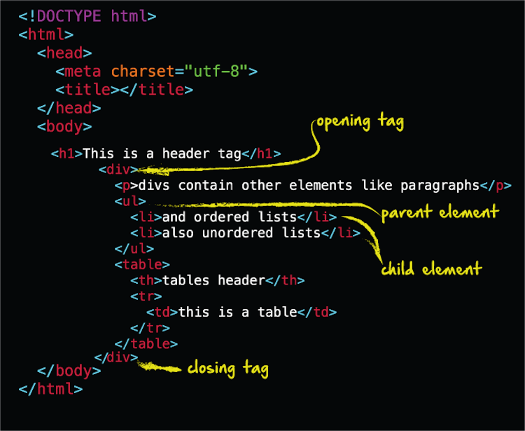 Building a Web Scraper from start to finish | HackerNoon