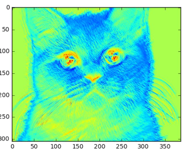 Visualizing parts of Convolutional Neural Networks using Keras and Cats ...