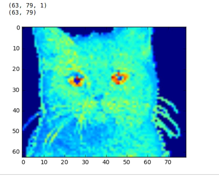 Visualizing parts of Convolutional Neural Networks using Keras and Cats ...