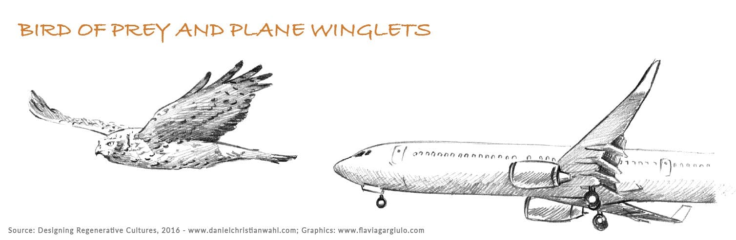 Biologically inspired product design | HackerNoon