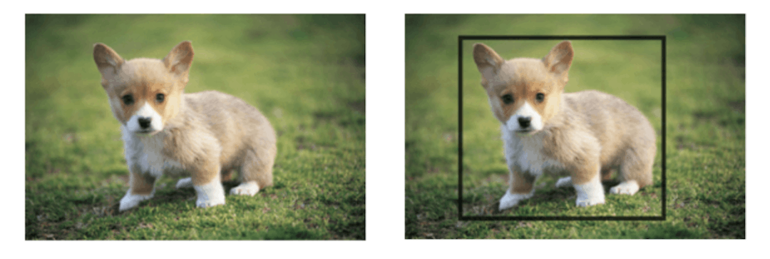 How Machines See the World: 7 Use Cases of Object Detection | HackerNoon