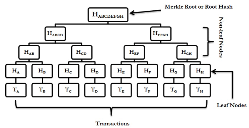 How To Write Smart Contracts For Merkle Tree Using Solidity Hackernoon