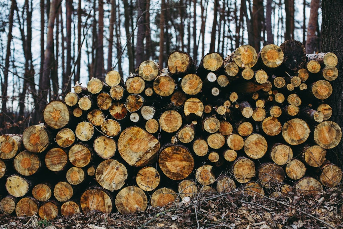 Choosing the Best Logging Approach: ILogger, ILogger , ILoggerFactory ...