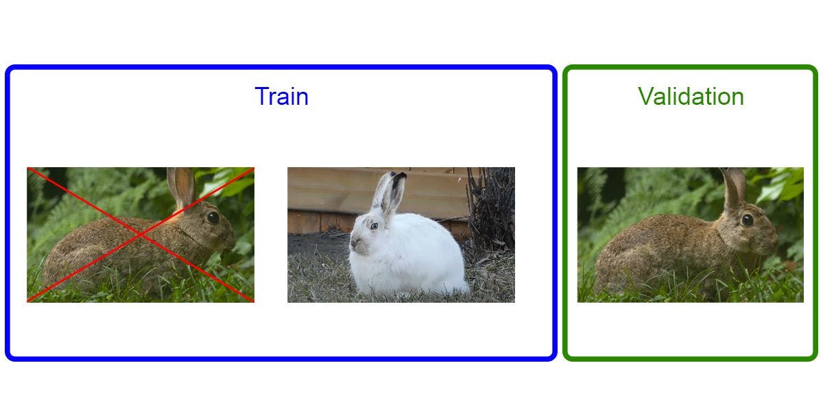 7 Steps To Prepare A Dataset For An Image-Based AI Project | HackerNoon