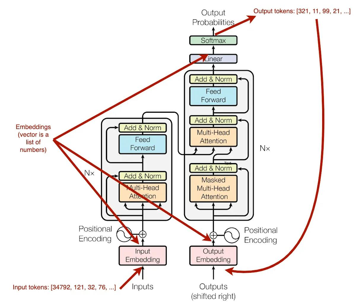 Why Embeddings Are the Back Bone of LLMs | HackerNoon