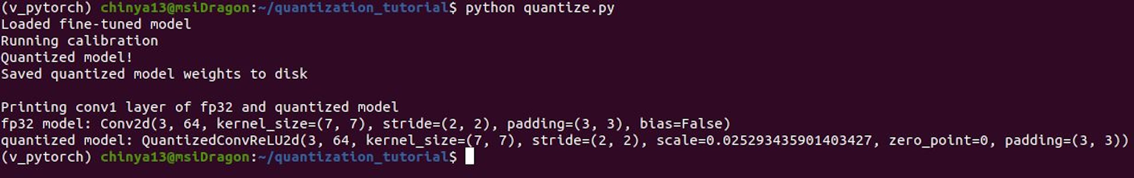 Curious About Faster Ml Models Discover Model Quantization With Pytorch Hackernoon