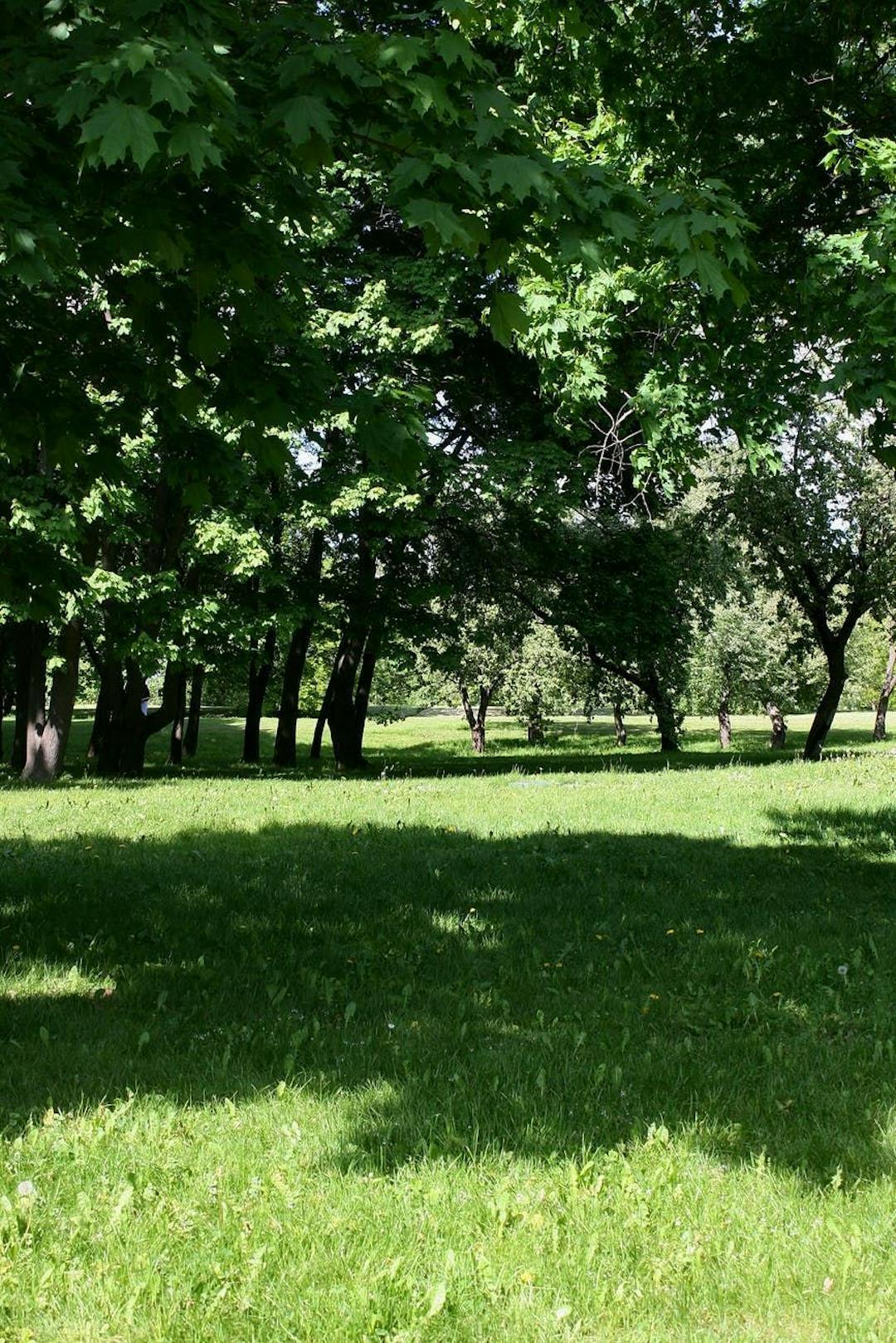 The decline of Stack Overflow | HackerNoon