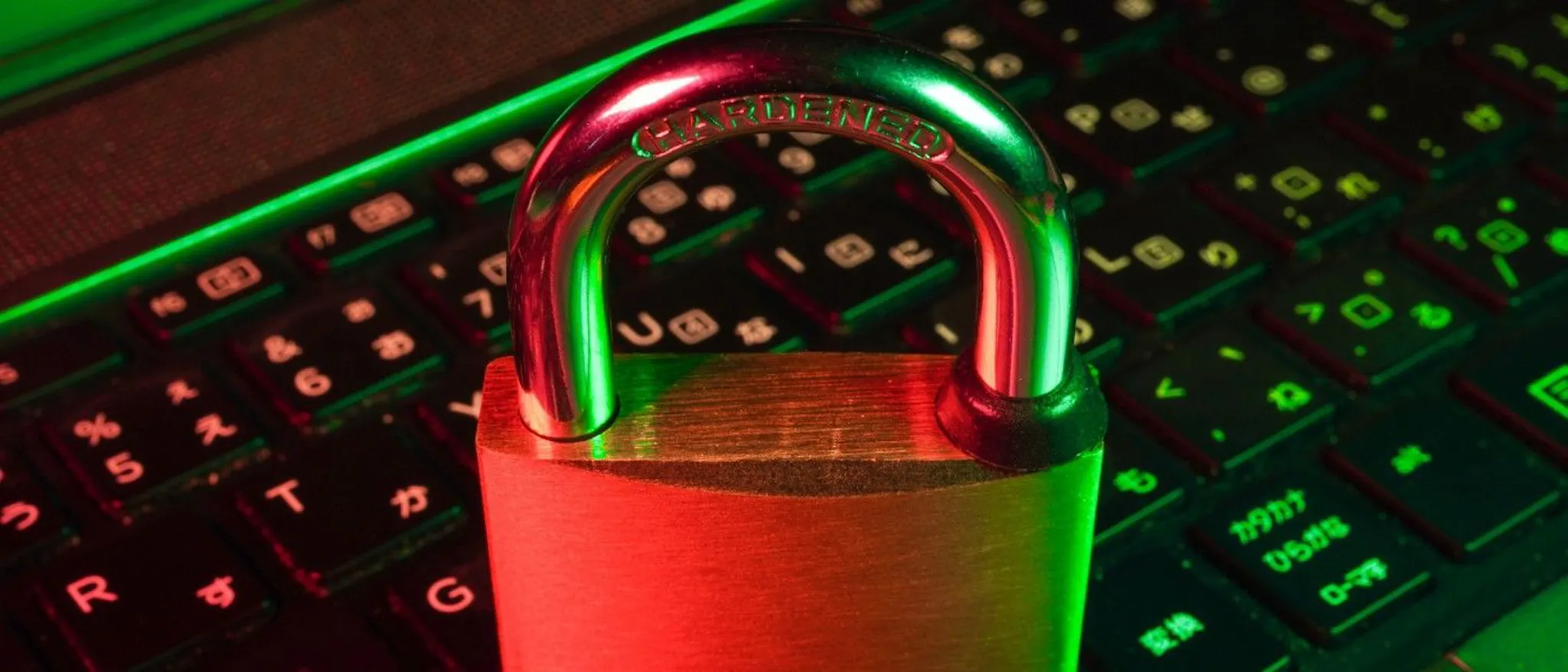 How to Connect an Express Application to Postgres Using Sequelize ...