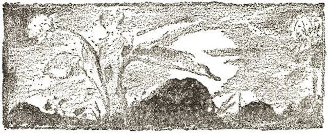 THE MINING BEES | HackerNoon