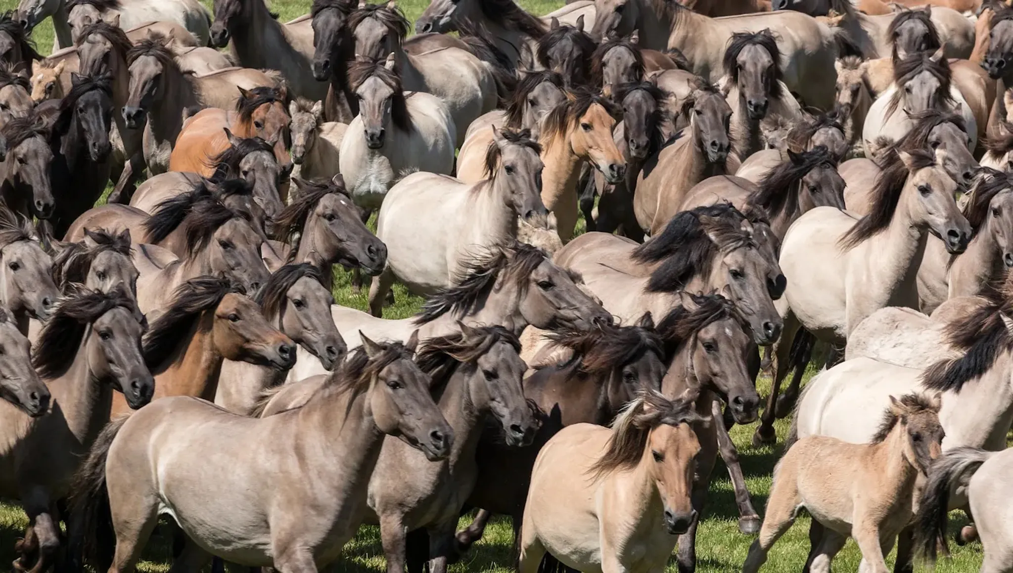 Explaining What a Cache Stampede Is and How to Prevent It Using Redis ...