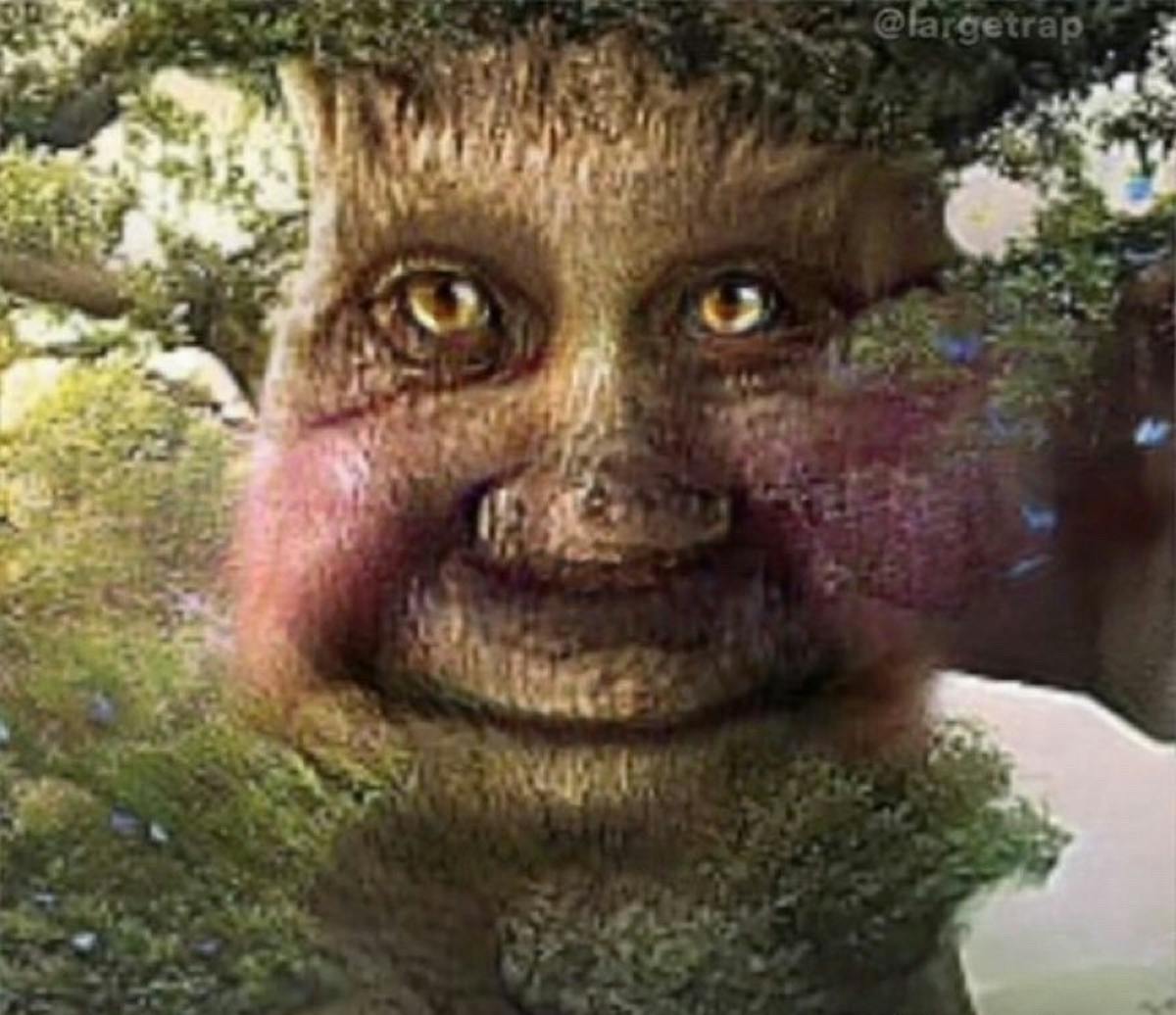 Why Should you Learn the Leo Programming Language | HackerNoon