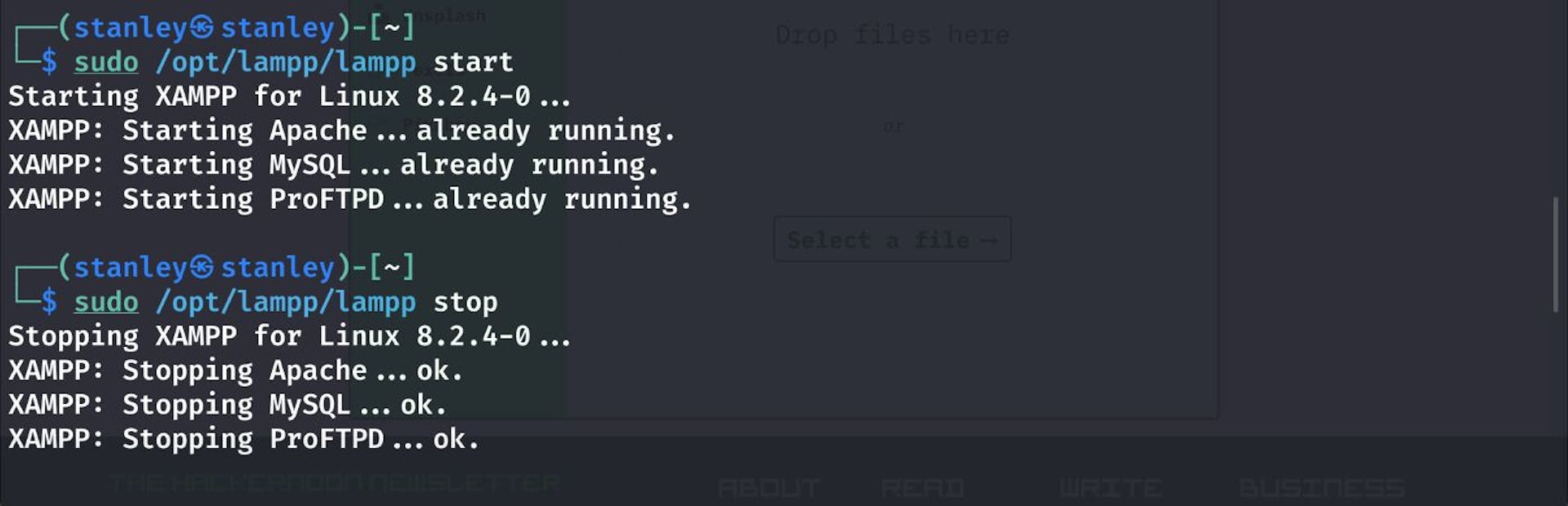 How to Install XAMPP on Linux: A Quick Step-by-Step Guide | HackerNoon