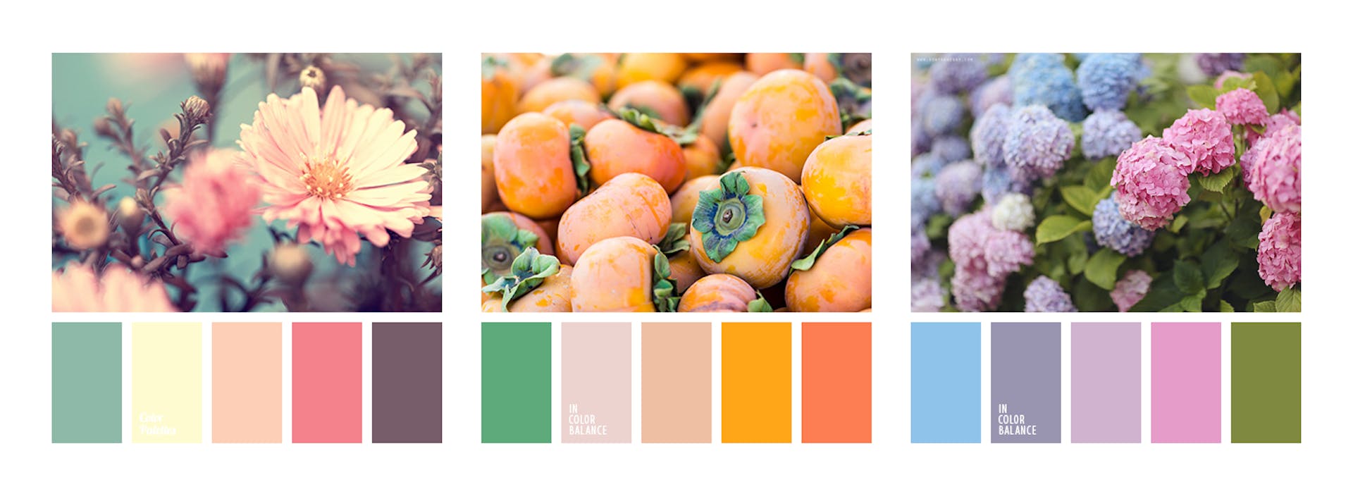 7 Color Pattern Trends in Mobile App Design | HackerNoon