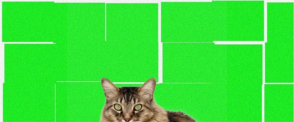 Posts about HackerNoon’s Products, Business and Organization