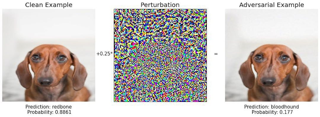Adversarial Examples In Machine Learning Explained | HackerNoon