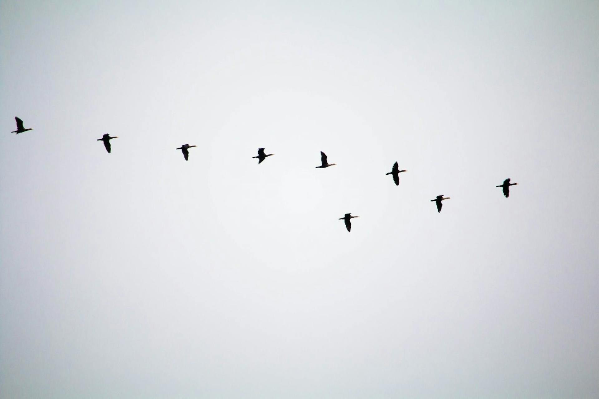 Notes on Migrating AWS SDK v2 to v3 (Javascript) - A Quick Guide to ...