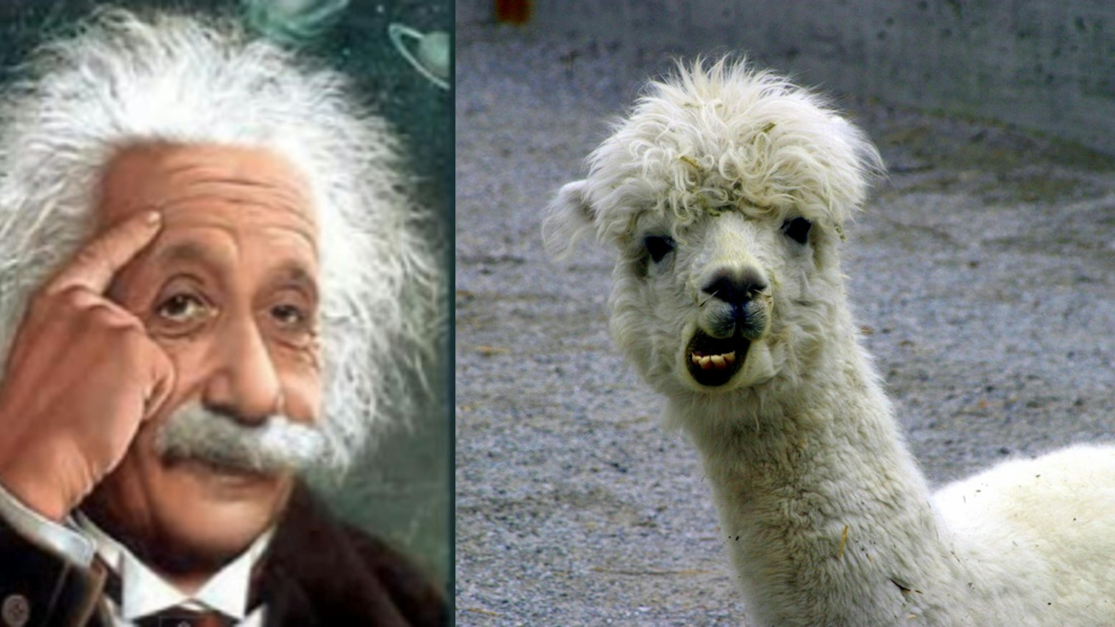 65 Stories To Learn About Framework | HackerNoon