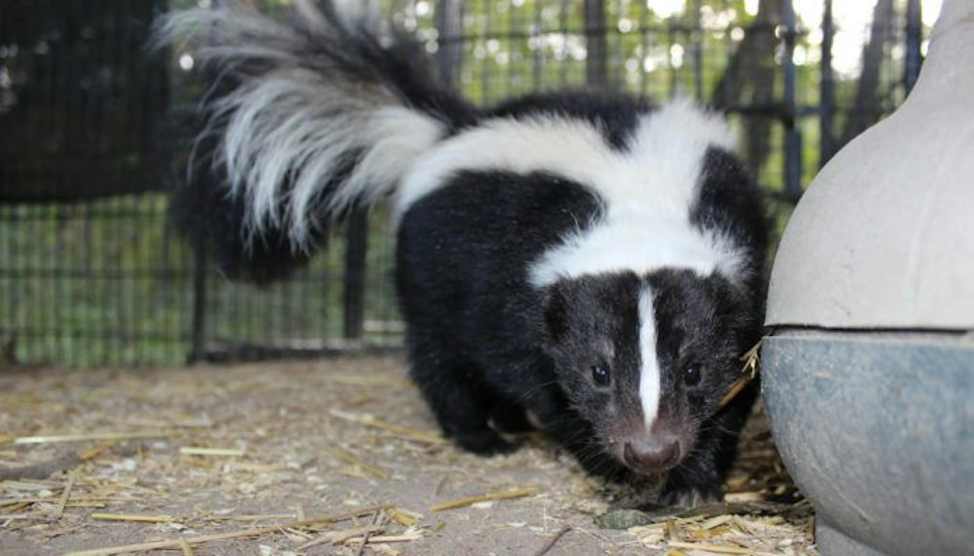 73 Stories To Learn About Pixel Face | HackerNoon