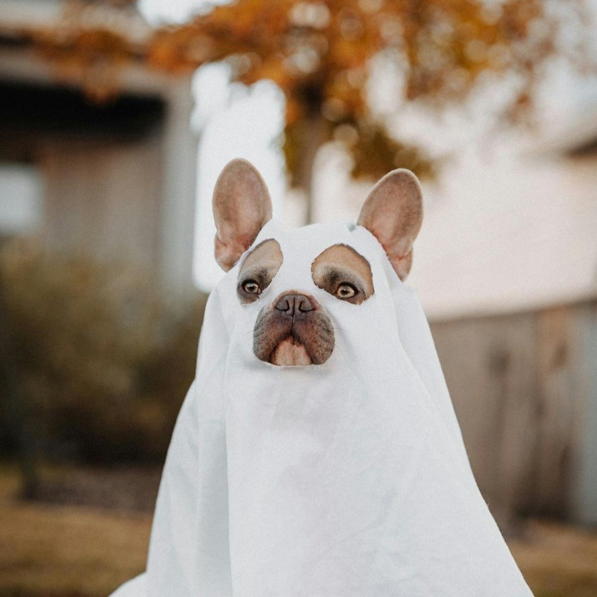 How to Version Machine Learning Experiments Instead of Tracking Them | HackerNoon