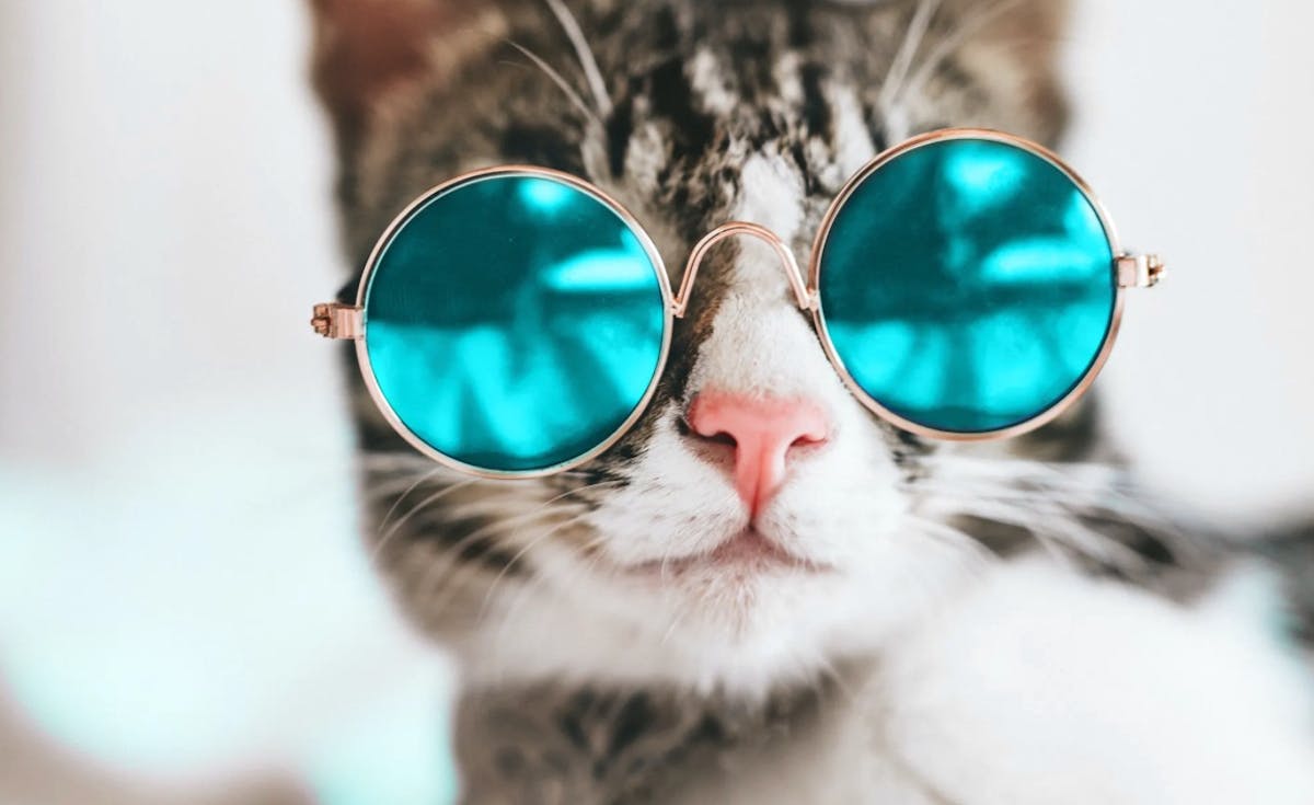 How to Run Multiple Terminal Commands in ONE, Like a Boss | HackerNoon