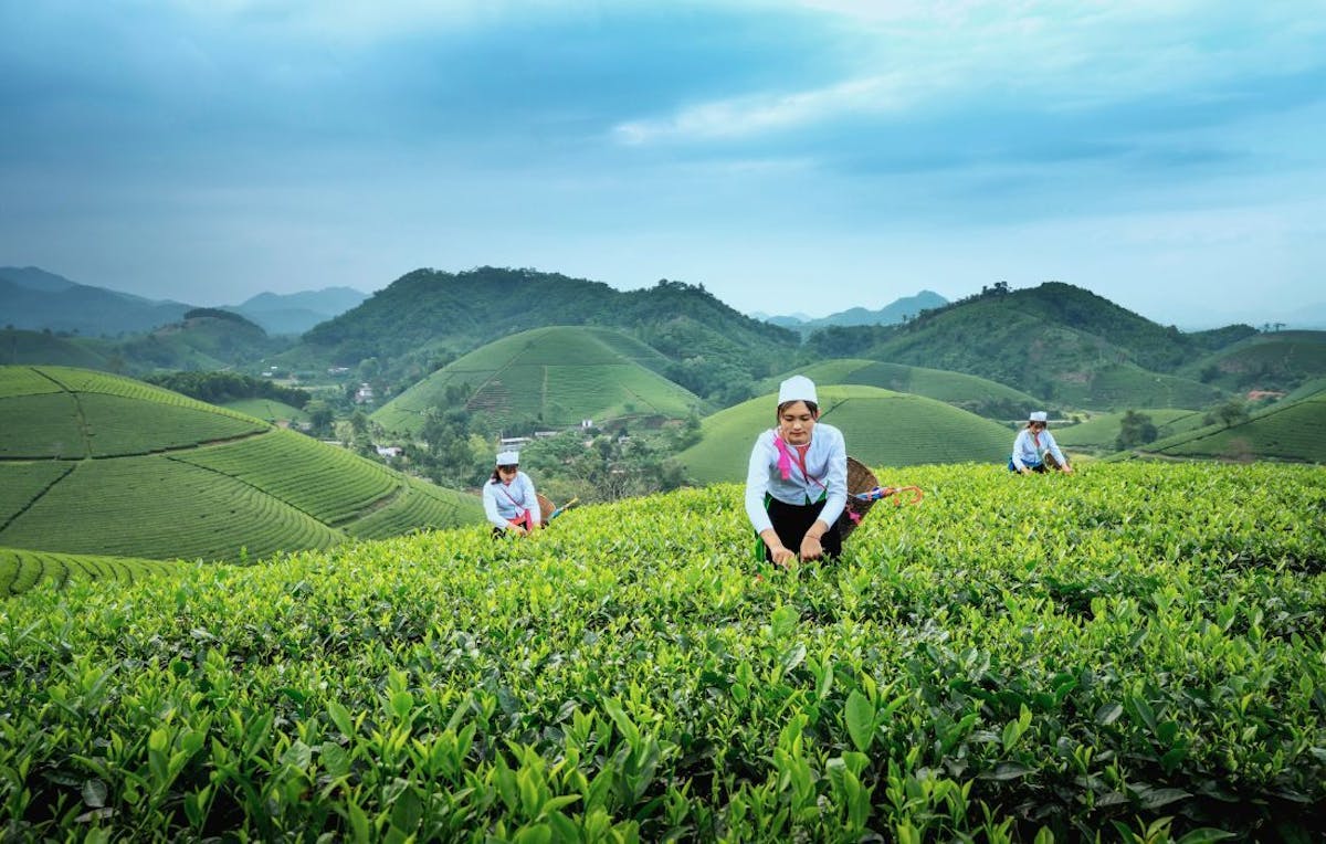 ReFi: The Financial Revolution That Prioritizes the Planet | HackerNoon