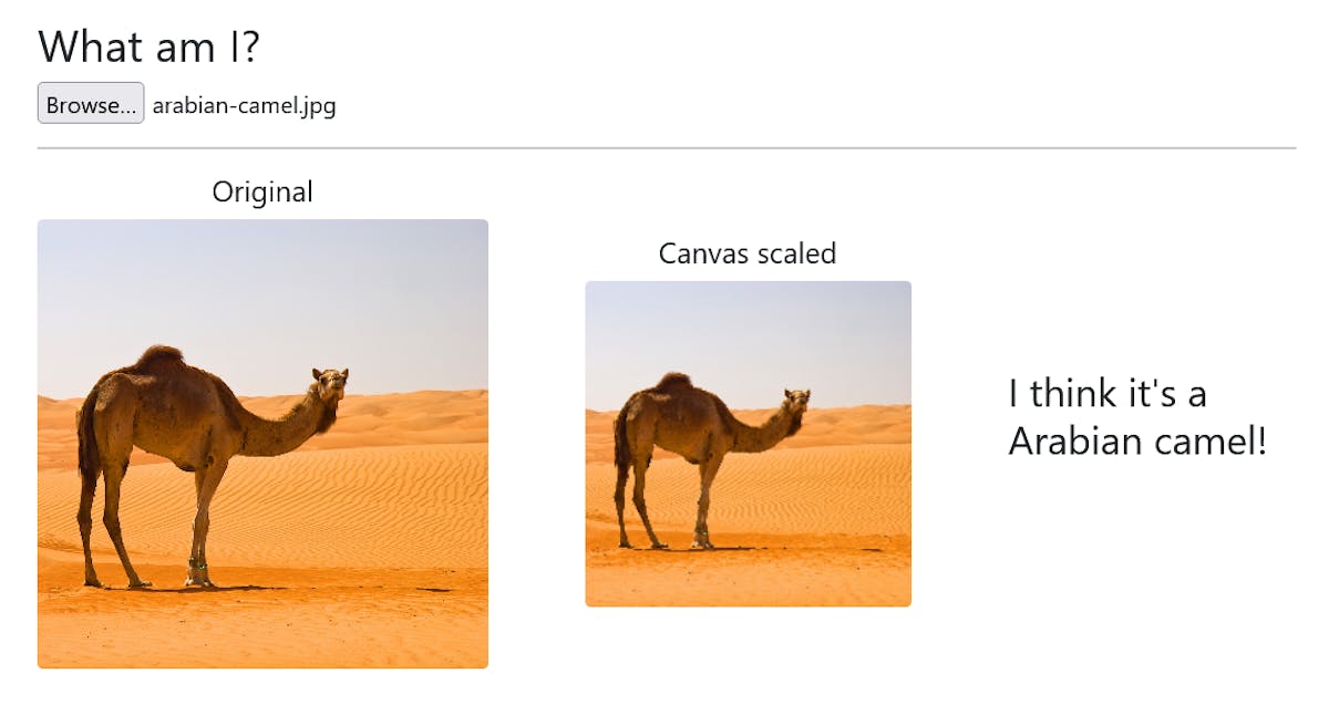 How to Run Machine-Learning Models in the Browser using ONNX | HackerNoon