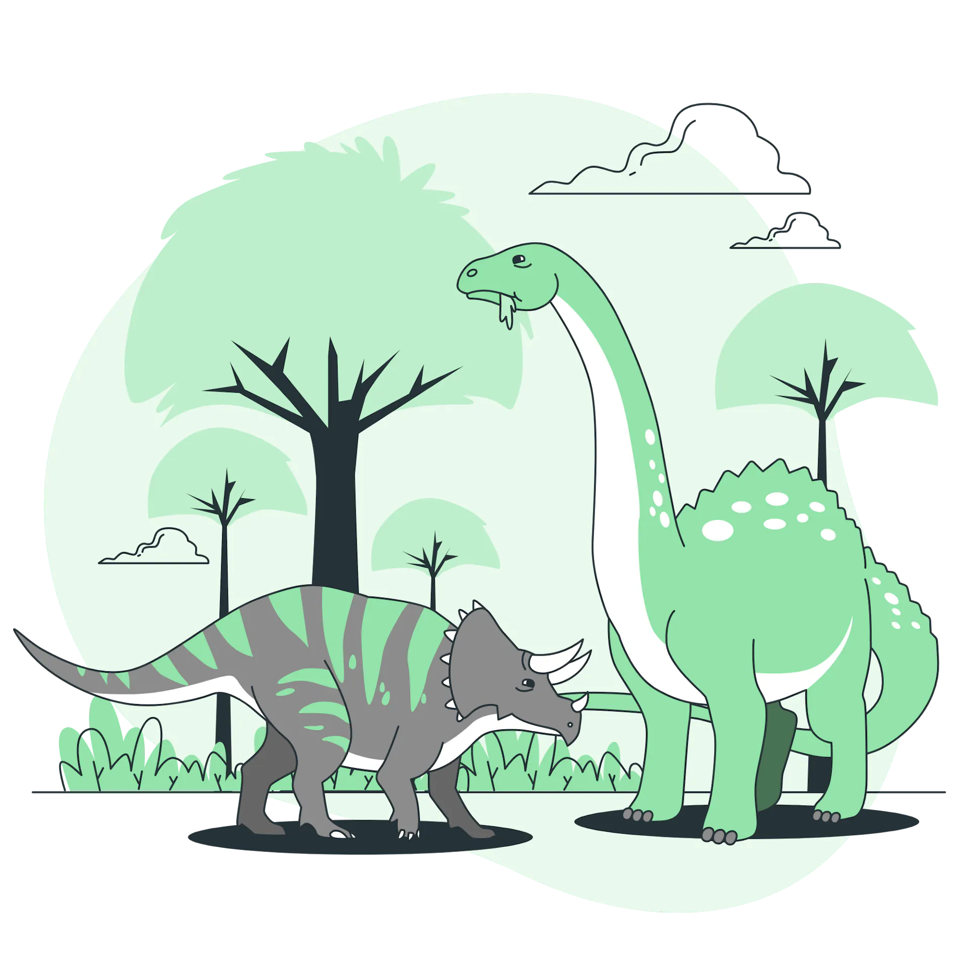 DTO in Python: Ways of implementation | HackerNoon
