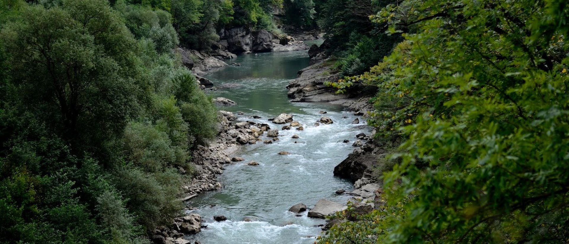 Streaming Data From a REST API Using Spring Webflux | HackerNoon