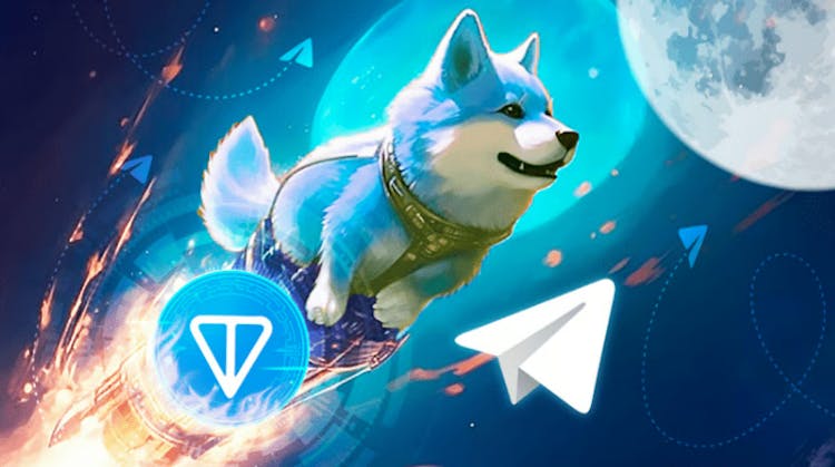 How Telegram Became The Mecca For Memecoins | HackerNoon